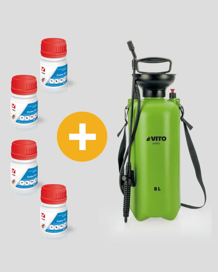 Os 4 produtos mais eficazes para acabar com pulgas em casa